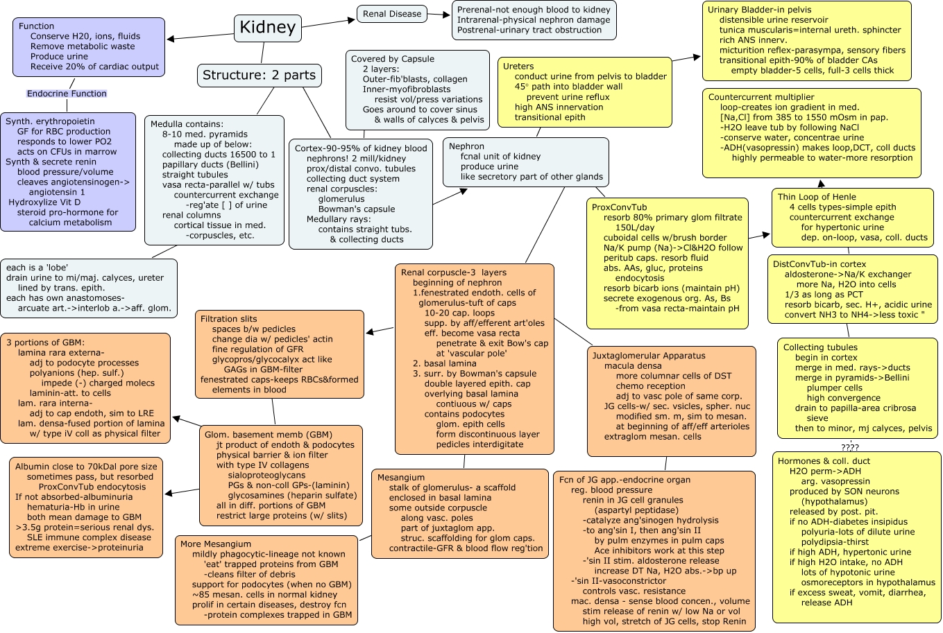 Urinary System Concept Map